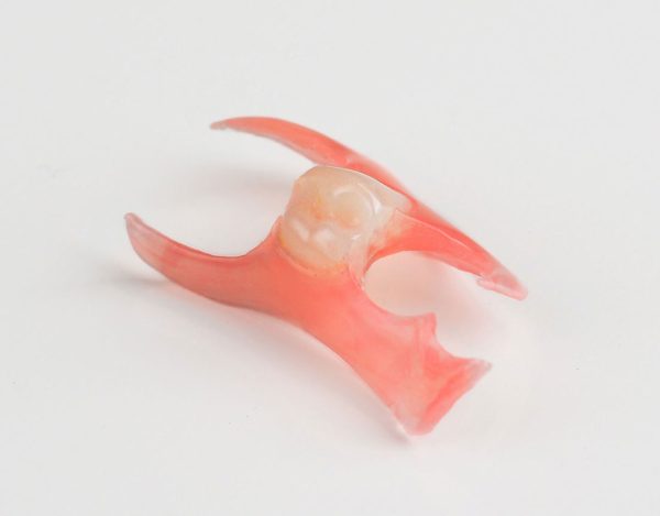 Nesbit Flexible Partial Denture – Dental Lab Direct