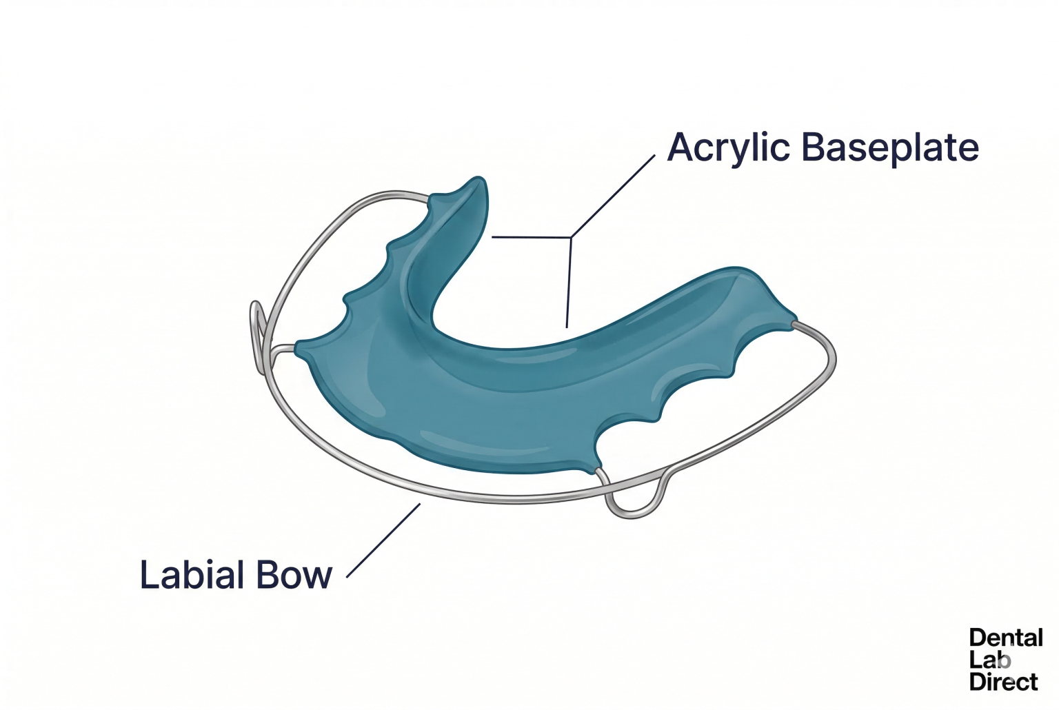 All You Need To Know About Hawley Retainer